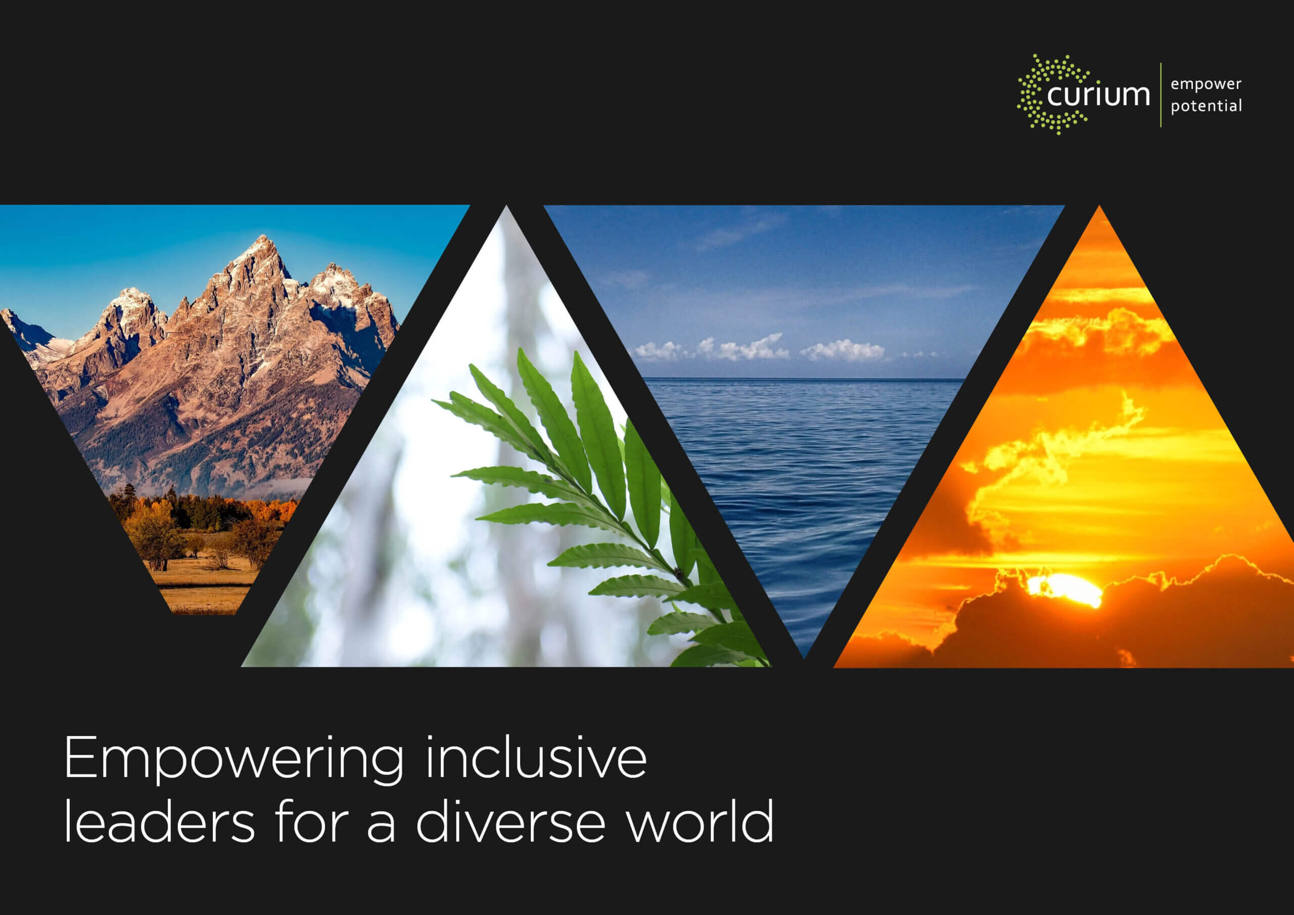 Empowering inclusive leaders for a diverse world - US Curium